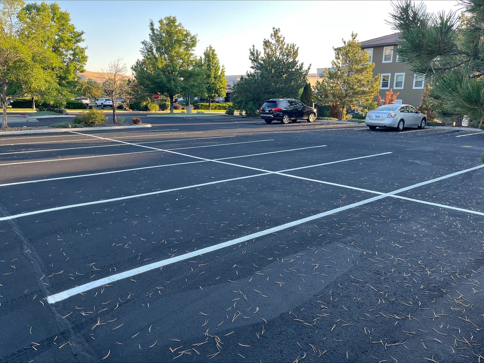 What Is Commercial Asphalt Maintenance - Reno, NV
